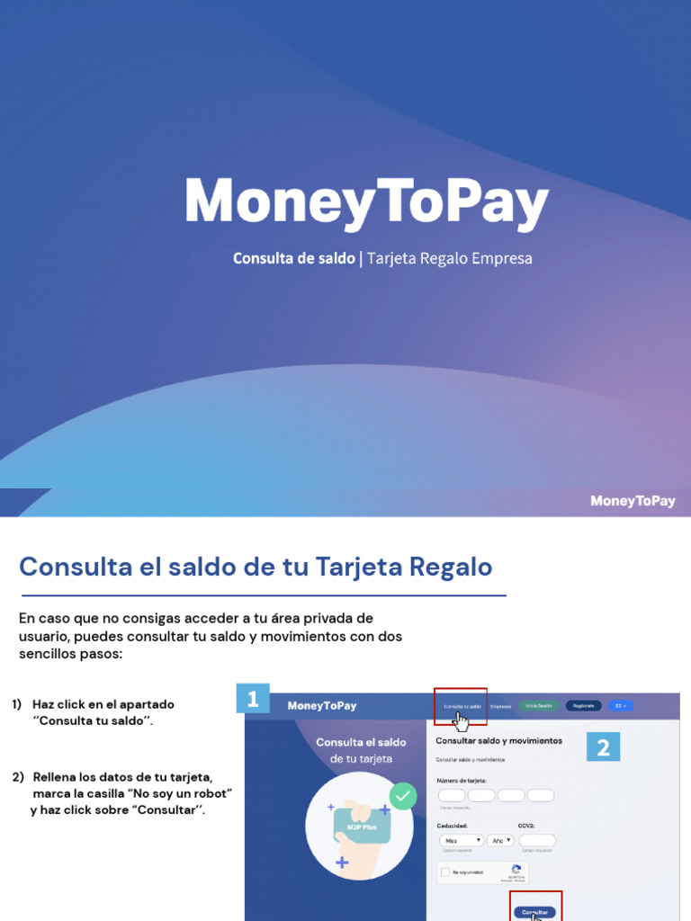 Consulte Su Saldo | PDF