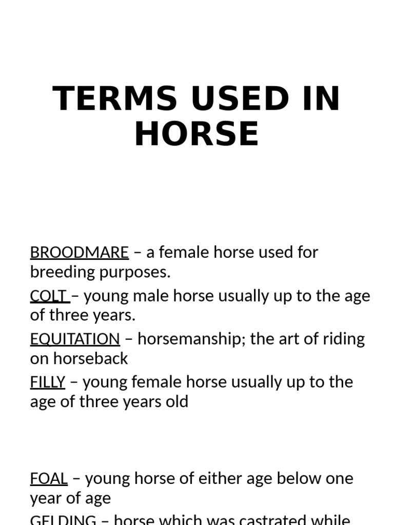 L2 Terms Used in Horse | PDF