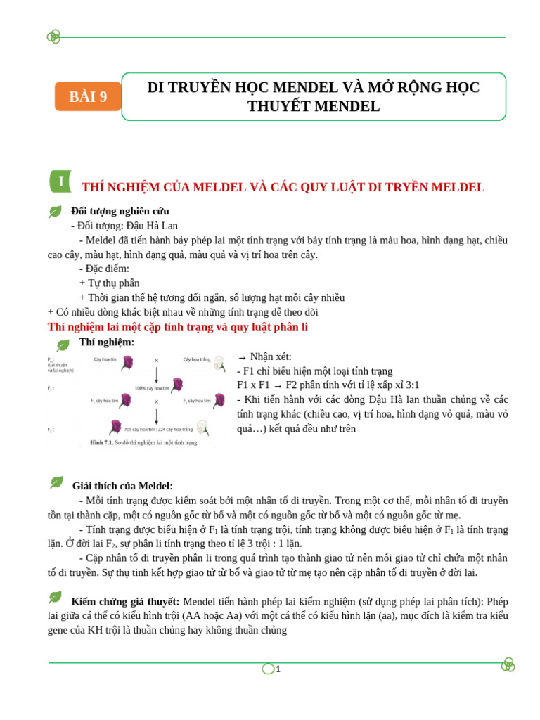 Bài 9 - DI TRUYỀN HỌC MENDEL VÀ MỞ RỘNG HỌC THUYẾT MENDEL - HOC SINH | PDF