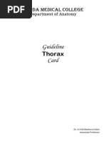 Thorax Anatomy Diagrams Overview | PDF