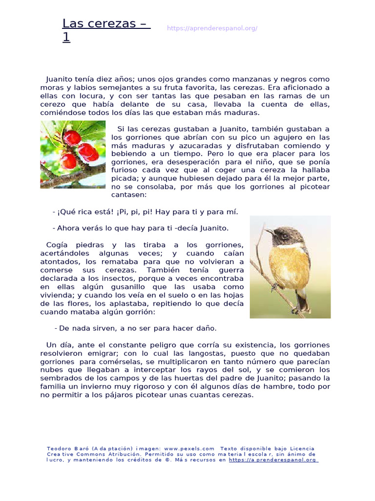 Cerezas 1 | PDF | Fruta