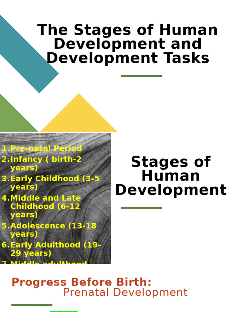 The-Stages-of-Development-and-Development-Tasks-1 | PDF | Infants ...
