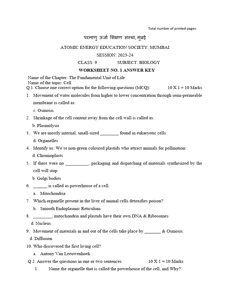 Class 9 Lesson 5 Biology Worksheet Answer Key(PLK) | PDF | Cell ...