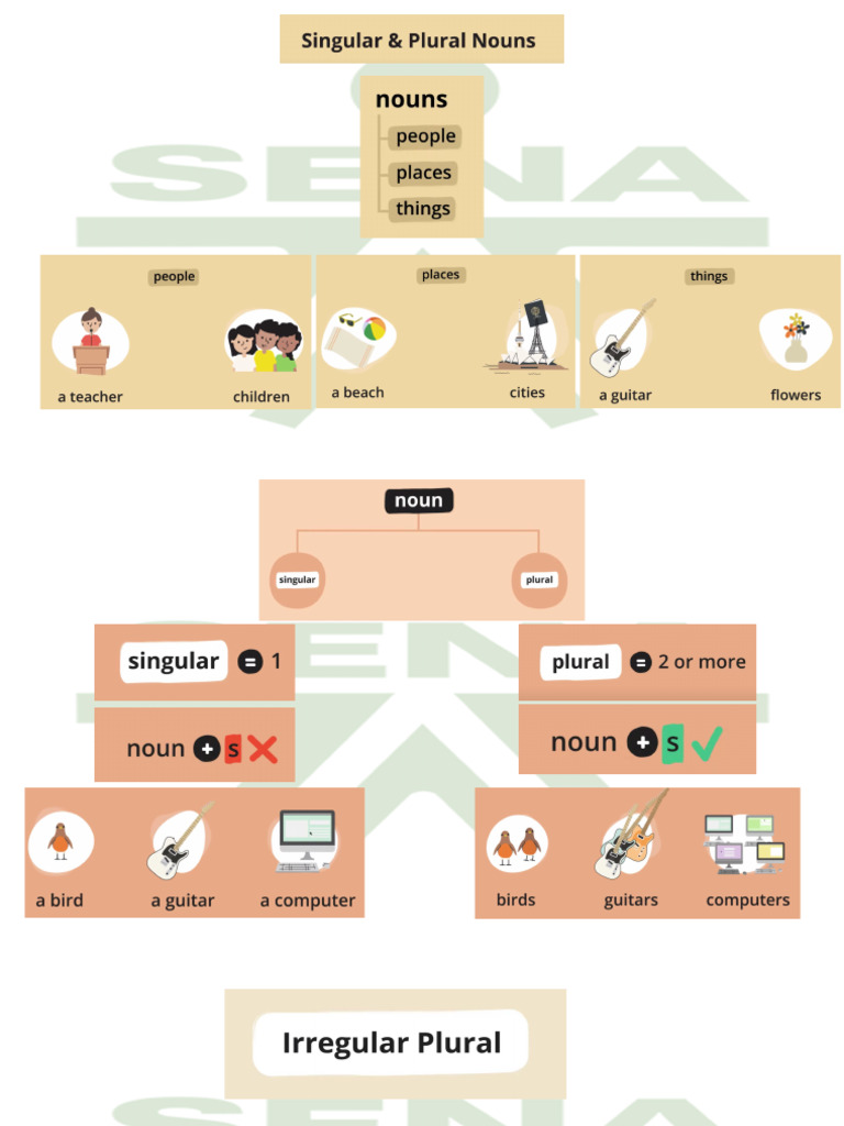 Nouns, Pronouns, Adjectives | PDF