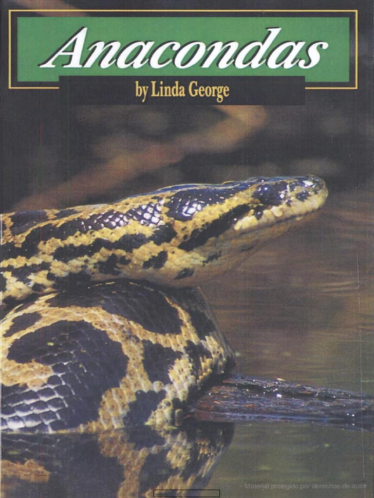 Anaconda | PDF