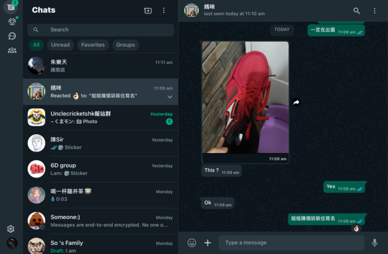 WhatsApp Chat Overview | PDF