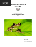 Frog Urinogenital System Overview | PDF | Kidney | Anatomy