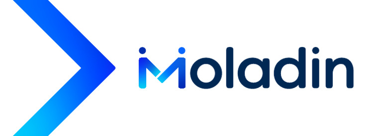 Logo Moladin Neon | PDF