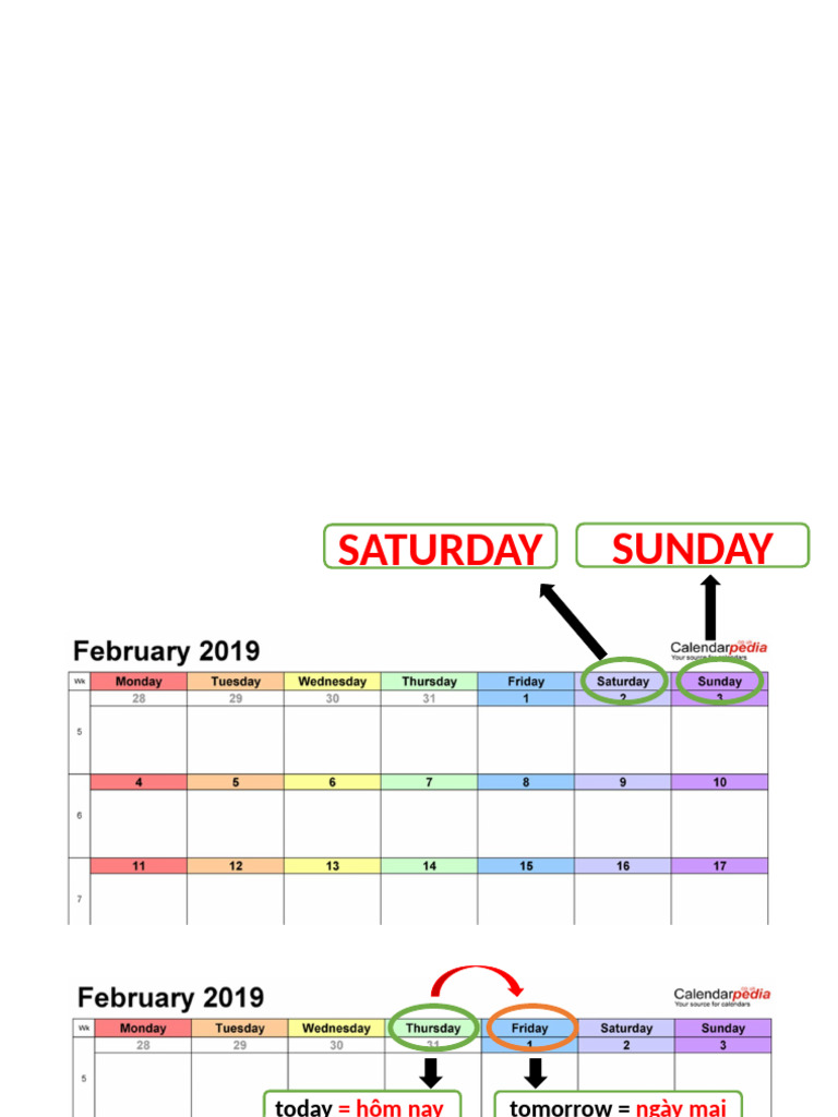 Kindy3 - 3a Unit 2 Lesson 4 | PDF