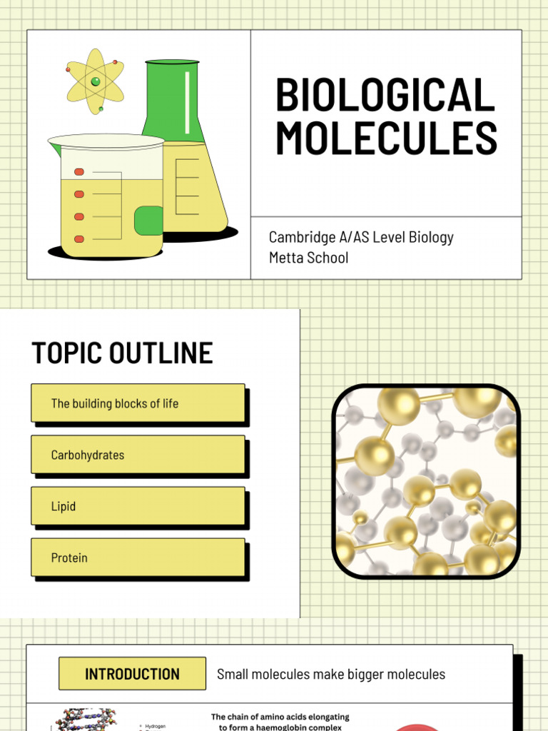 A Level Biology - Biological Molecules | PDF