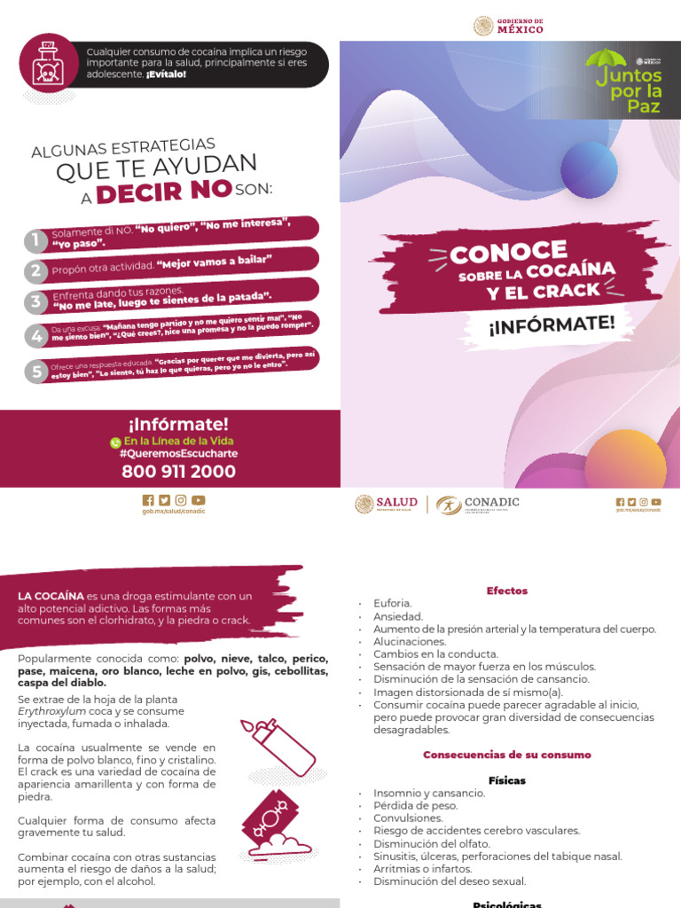 D Ptico Coca Na 2023 | PDF | Cocaína | Crack de cocaína