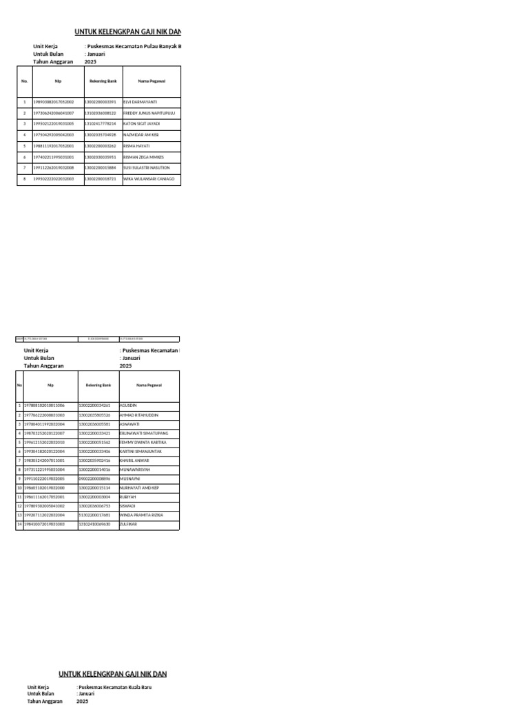 Untuk Gaji Nik Dan NPWP Di Isi Pns | PDF
