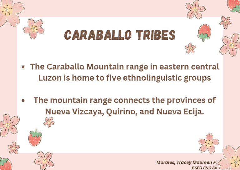 Pink and White Illustrative Page Border A3 Landscape | PDF