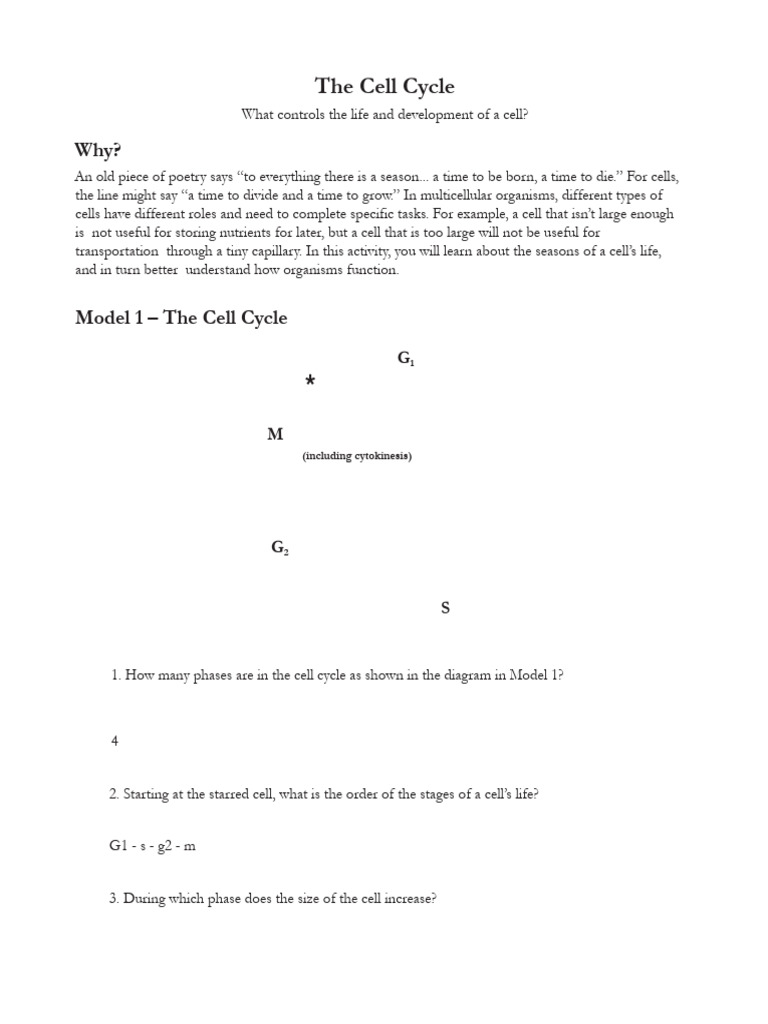 The Cell Cycle Pogil | PDF | Cell Cycle | Cell (Biology)