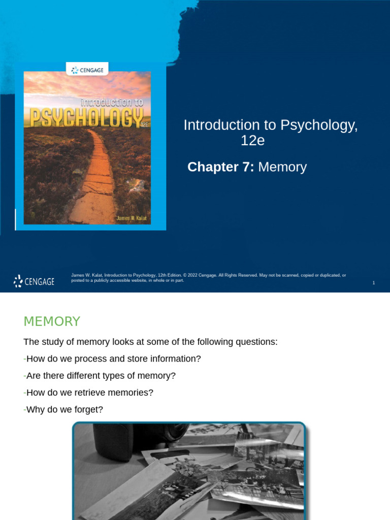 Memory | PDF | Memory | Recall (Memory)