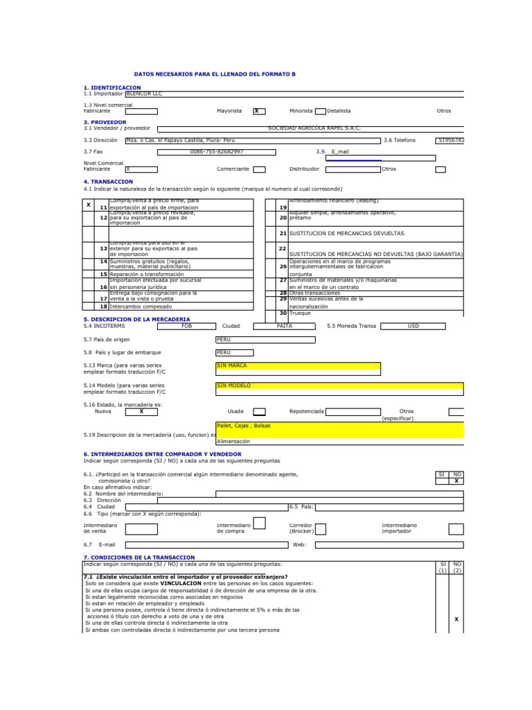 Formato B: Datos de Importación y Transacción | PDF | Precios | Pago de ...