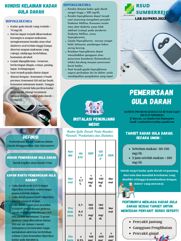 Panduan Kadar Gula Darah Normal dan Abnormal | PDF