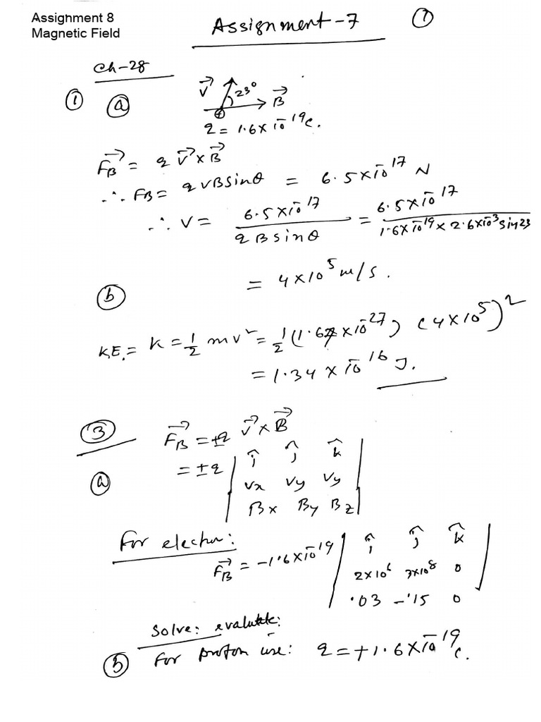 8. Assignment 8 sol Magnetic Field Fall 22 | PDF