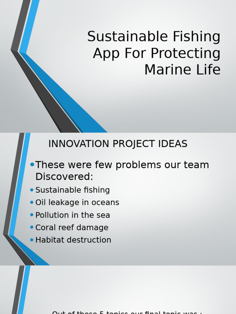 FLL Innovation Ideas | PDF | Sustainability | Earth Sciences