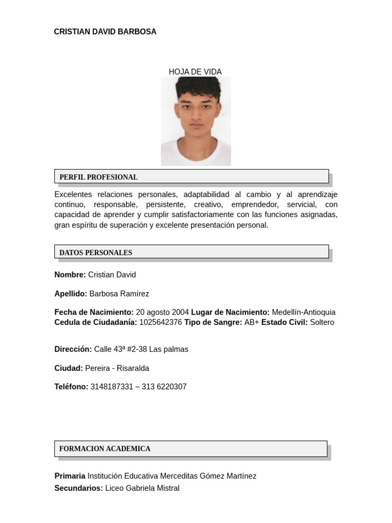 HOJA de VIDA Cristian Ramírez | PDF