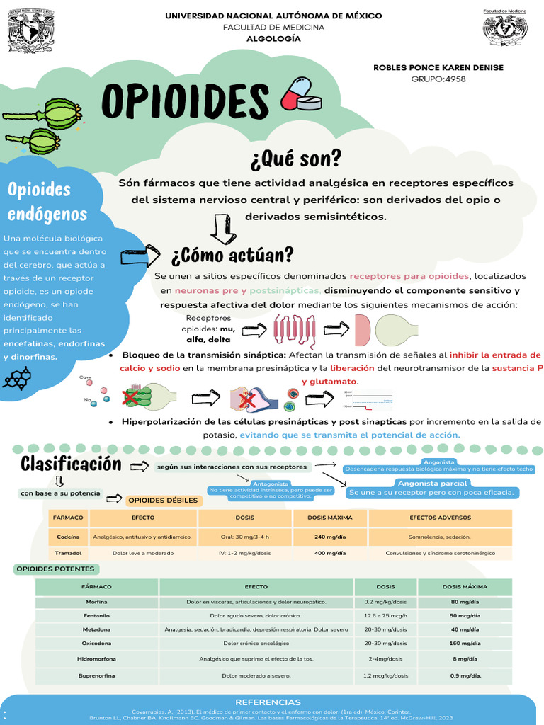 OPIOIDES | PDF | Opioide | Analgésico
