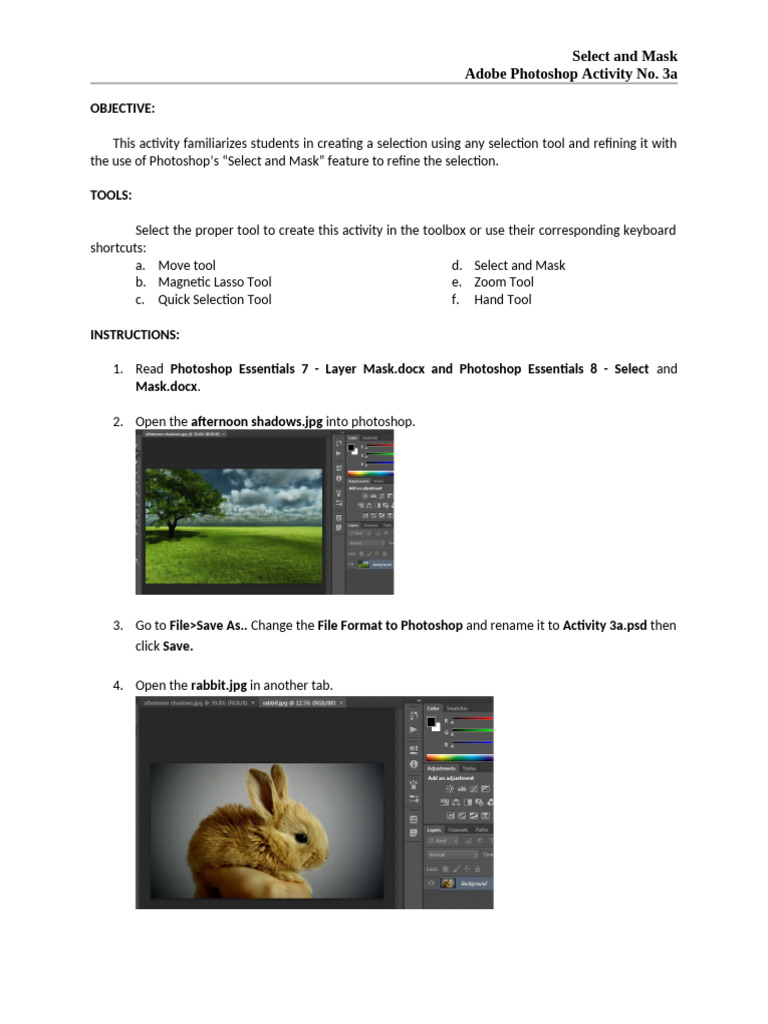 Activity 3a Instructions | PDF | Adobe Photoshop | Computer Graphics