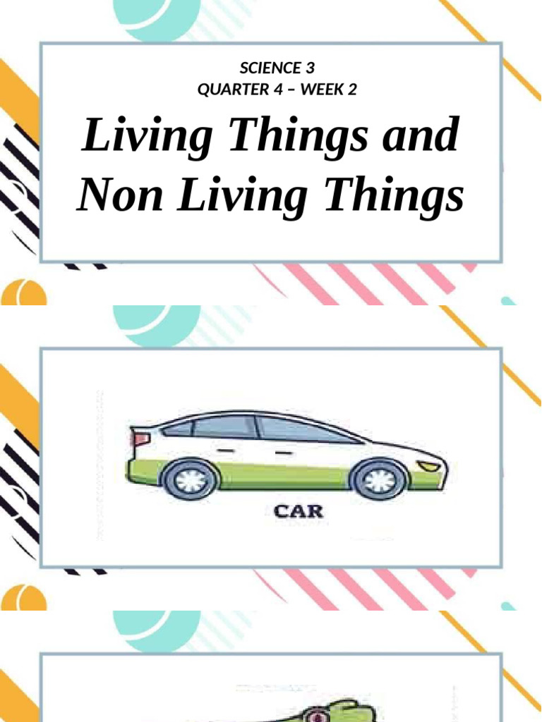 Living vs Non-Living Things Guide | PDF