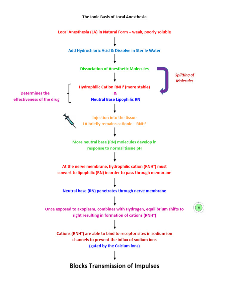 The Ionic Basis of Local Anesthesia - Flow Chart - Review.2025 | PDF ...