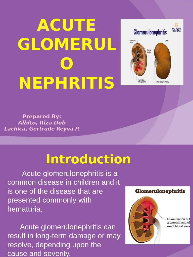 Acute Glomerulonephritis (AGN) | PDF | Streptococcus | Medical Specialties