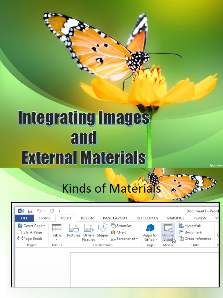 Copy of Lesson 3 Integrating Images | PDF | Image Processing | Computer Graphics