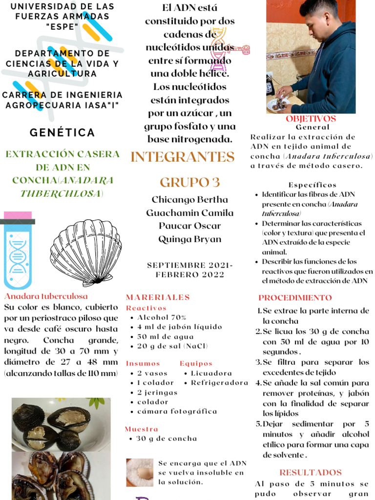 ADN CONCHA Tríptico Folleto | PDF | Adn | Lípido