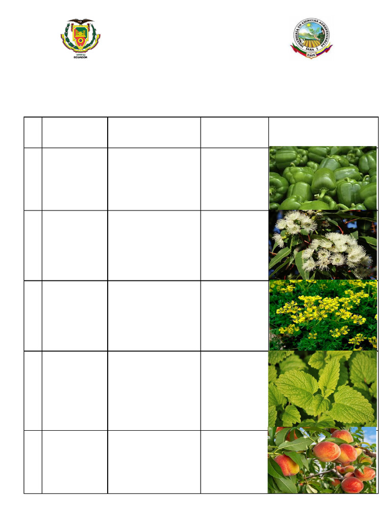 Deber Número Cromosómico Plantas y Animales 2do Parcial | PDF | Biología