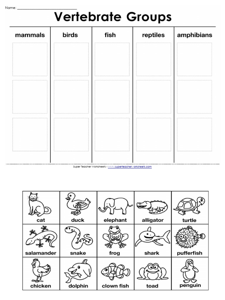 Classfication of Living Things Work Sheet 3 | PDF