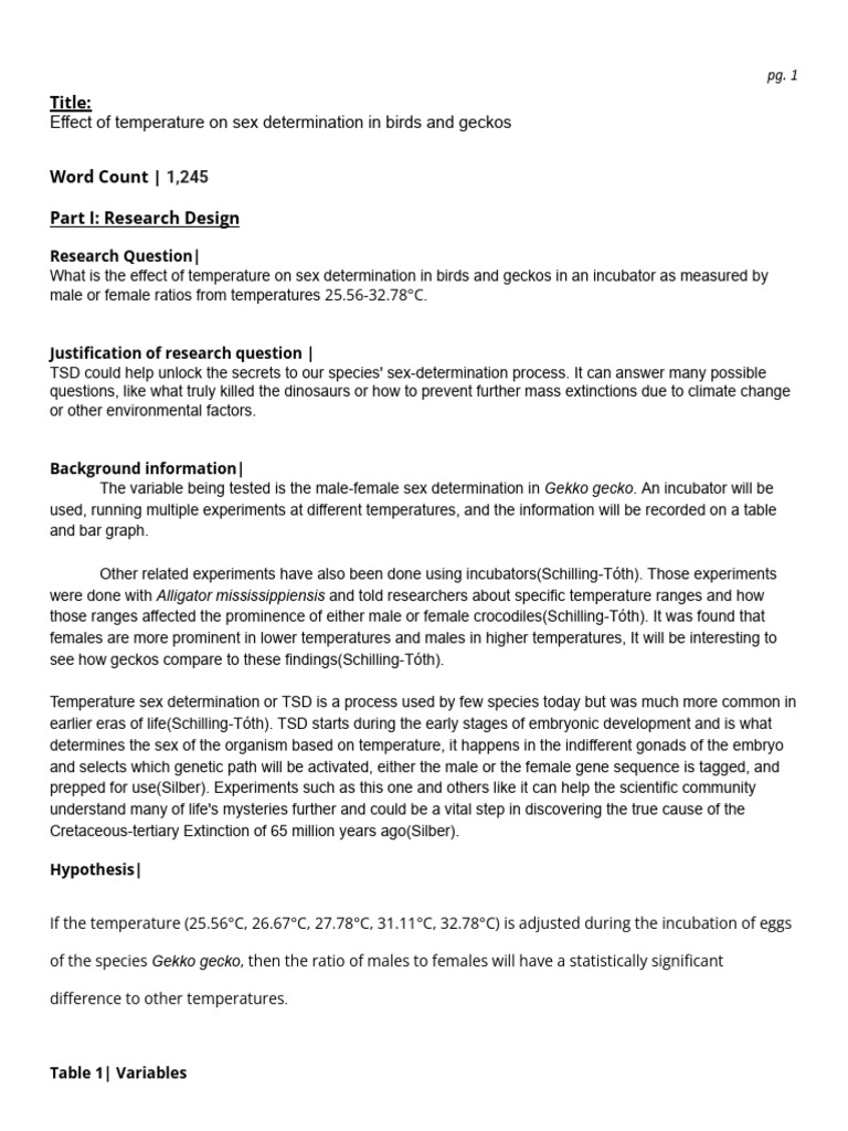 IA Template Lab 2024-25 - Kami | PDF | Statistics | Statistical ...