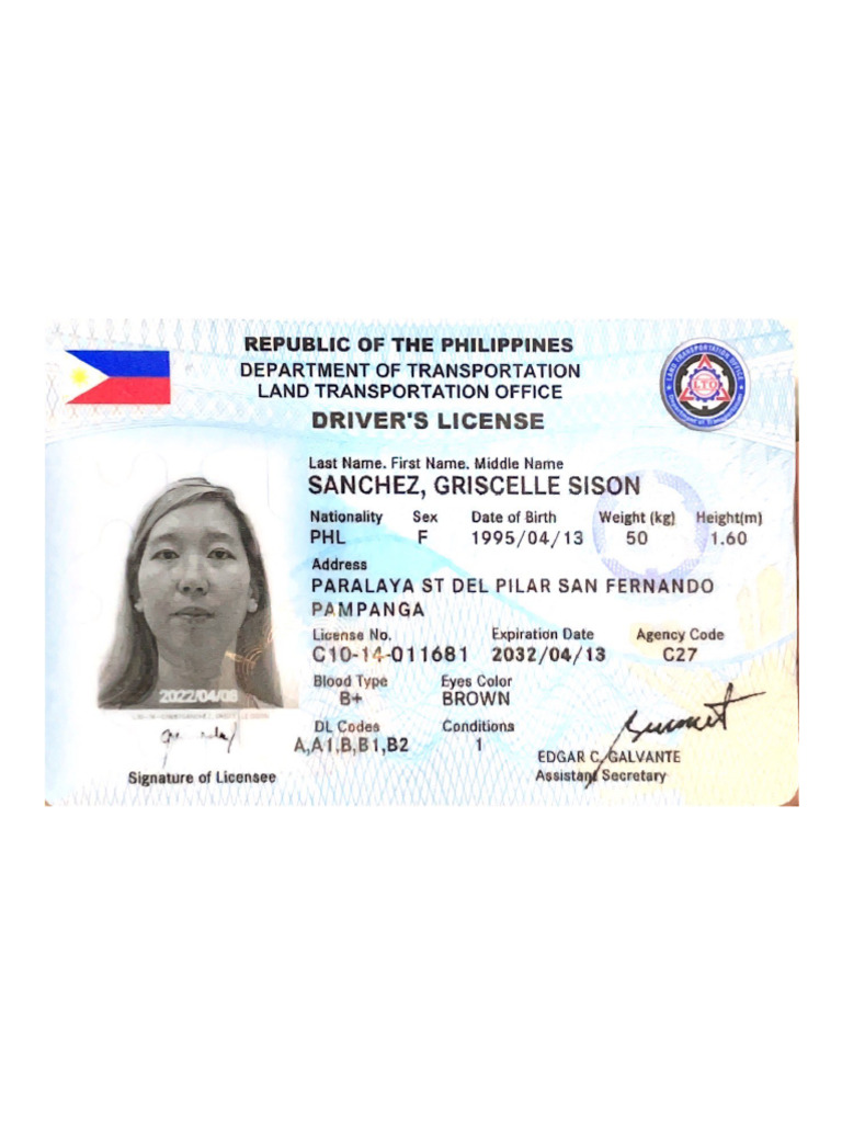 Republic of The Philippines | PDF