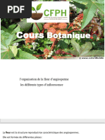 Le Carpelle : Organe des Angiospermes | PDF | Fruit | Embryon