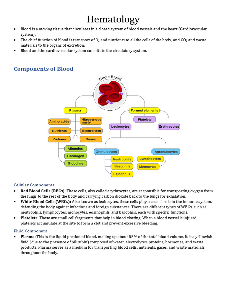 Red Blood Cell | PDF | Red Blood Cell | Blood