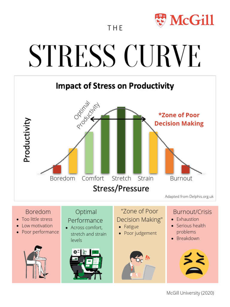 Understanding the Stress Curve | PDF