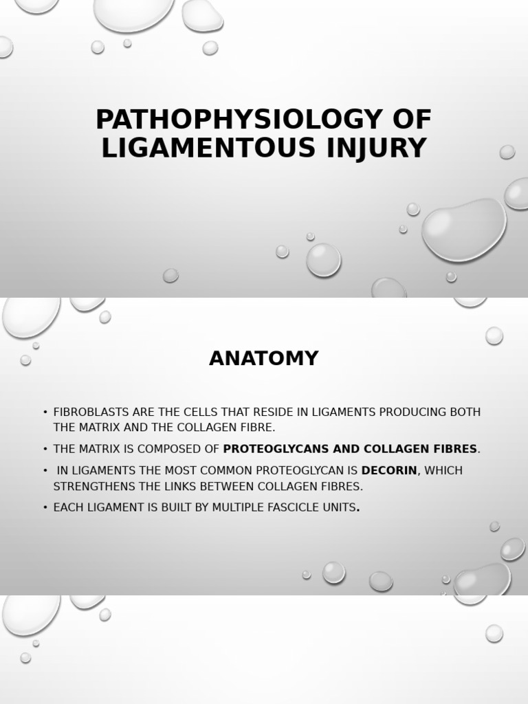Lec 6 PATHOPHYSIOLOGY of Ligamentous, Skeletal and Nerve Injuries 2 | PDF | Bone | Osteoporosis