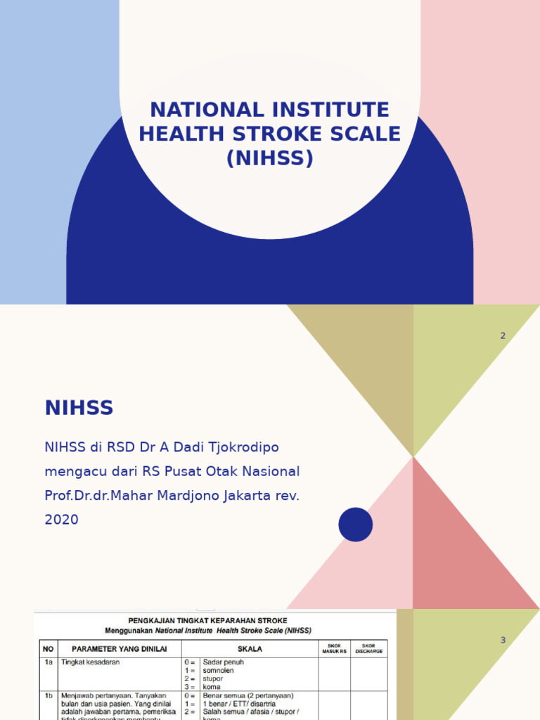 NIHSS | PDF