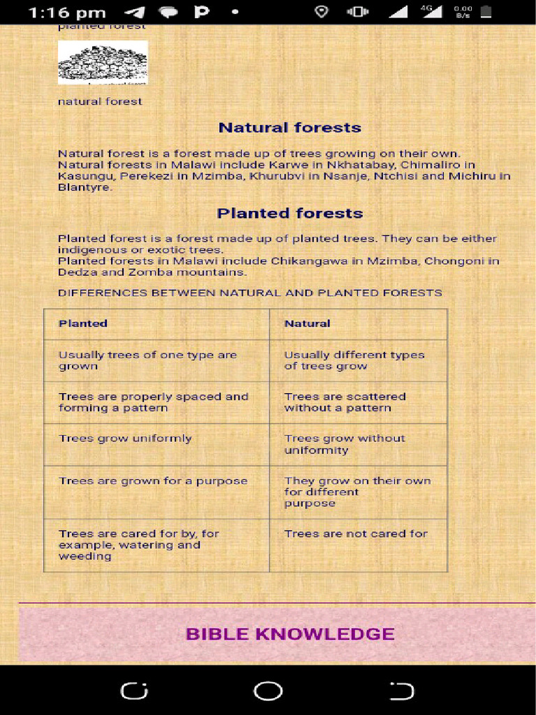 Mzuni undergraduate | PDF