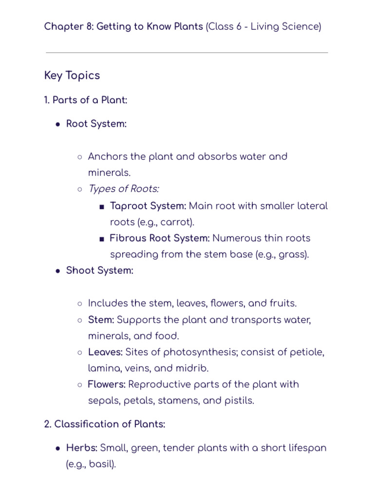 Understanding Plants: Class 6 Science | PDF | Leaf | Plants