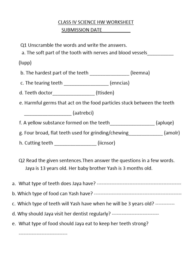 Grade 4 Teeth Worksheet and Answers | PDF
