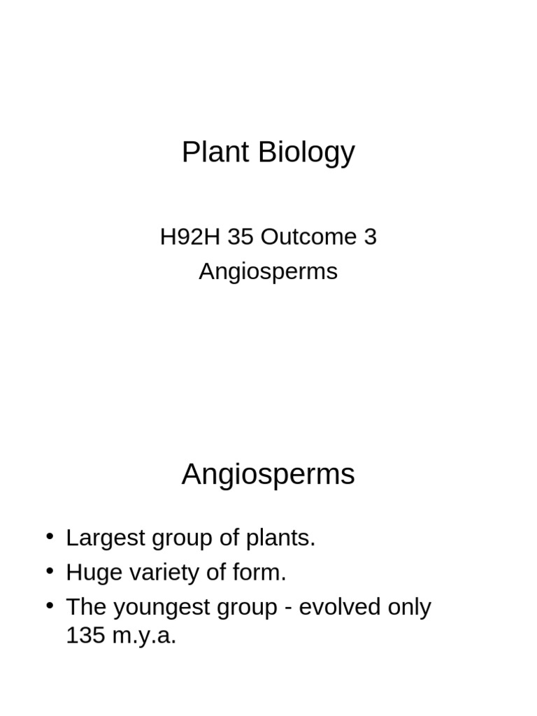 Angiosperms: Structure and Life Cycle | PDF | Plant Morphology | Botany