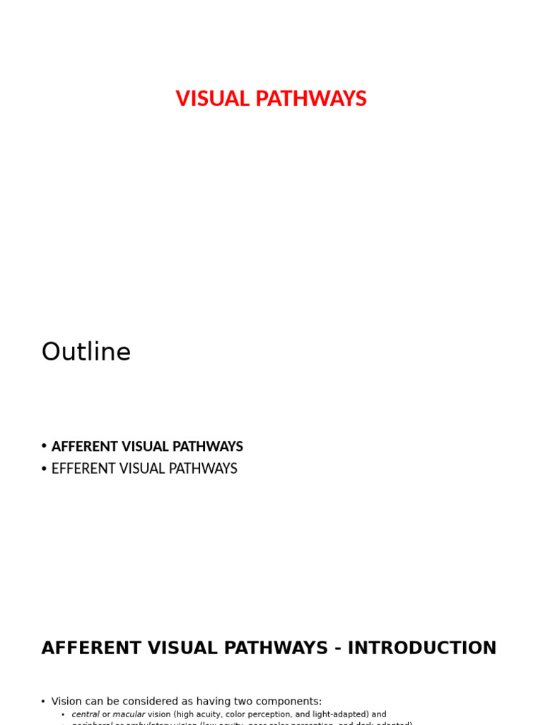 Afferent and Efferent Visual Pathways | PDF | Visual System | Visual Cortex