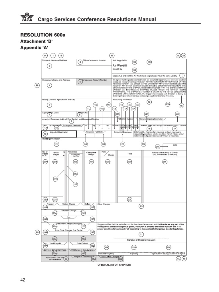 Mapping of Air Waybill | PDF