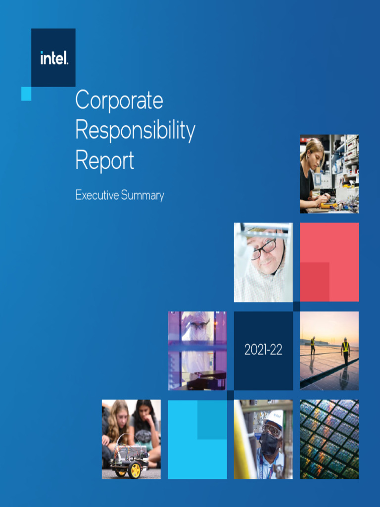 CSR 2021 22 Executive Summary | PDF | Renewable Energy | Corporate ...