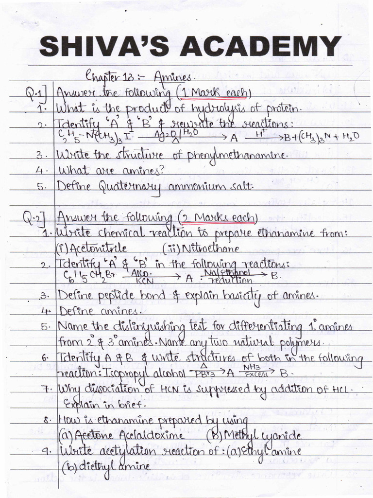Chapter 13 Amines | PDF