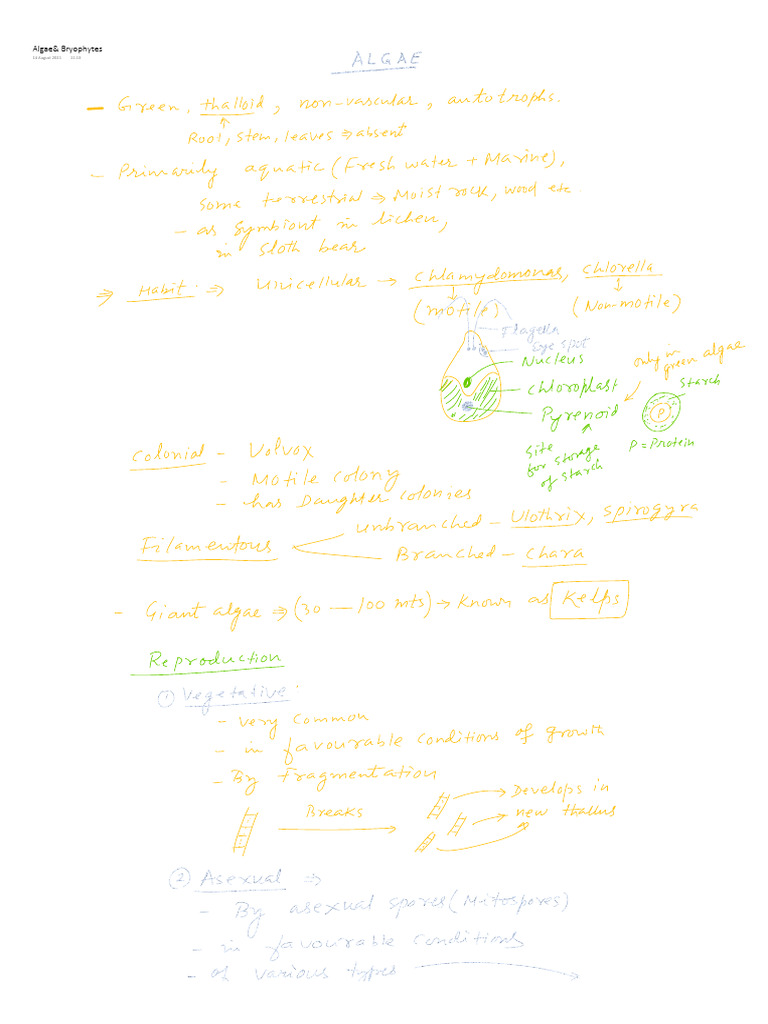 Algae& Bryophytes | PDF