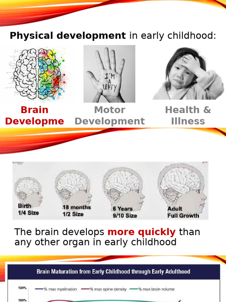 Early Childhood Brain Development | PDF